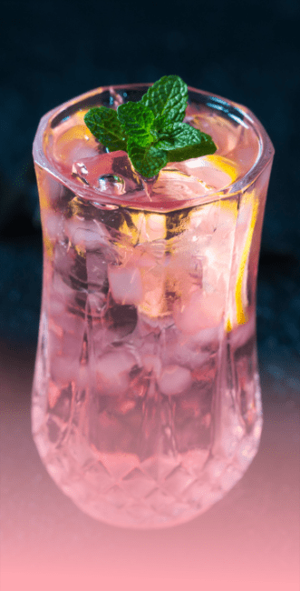 Bubble Berry - Monin