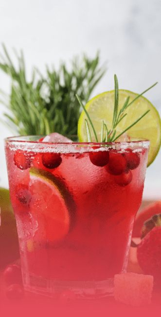 Cranberry Gin Fizz - Monin